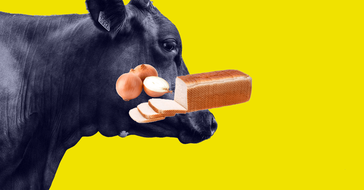 Stand in the Gap for Agriculture - The Kim Monson Show